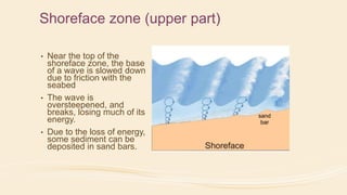 costal structure | PPT