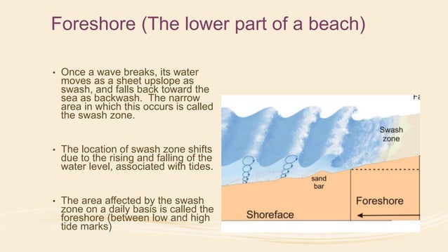 costal structure | PPT
