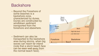 costal structure | PPT