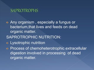 saprotophs,necrotrops and sewage fungus complex | PPTX | Gardening ...