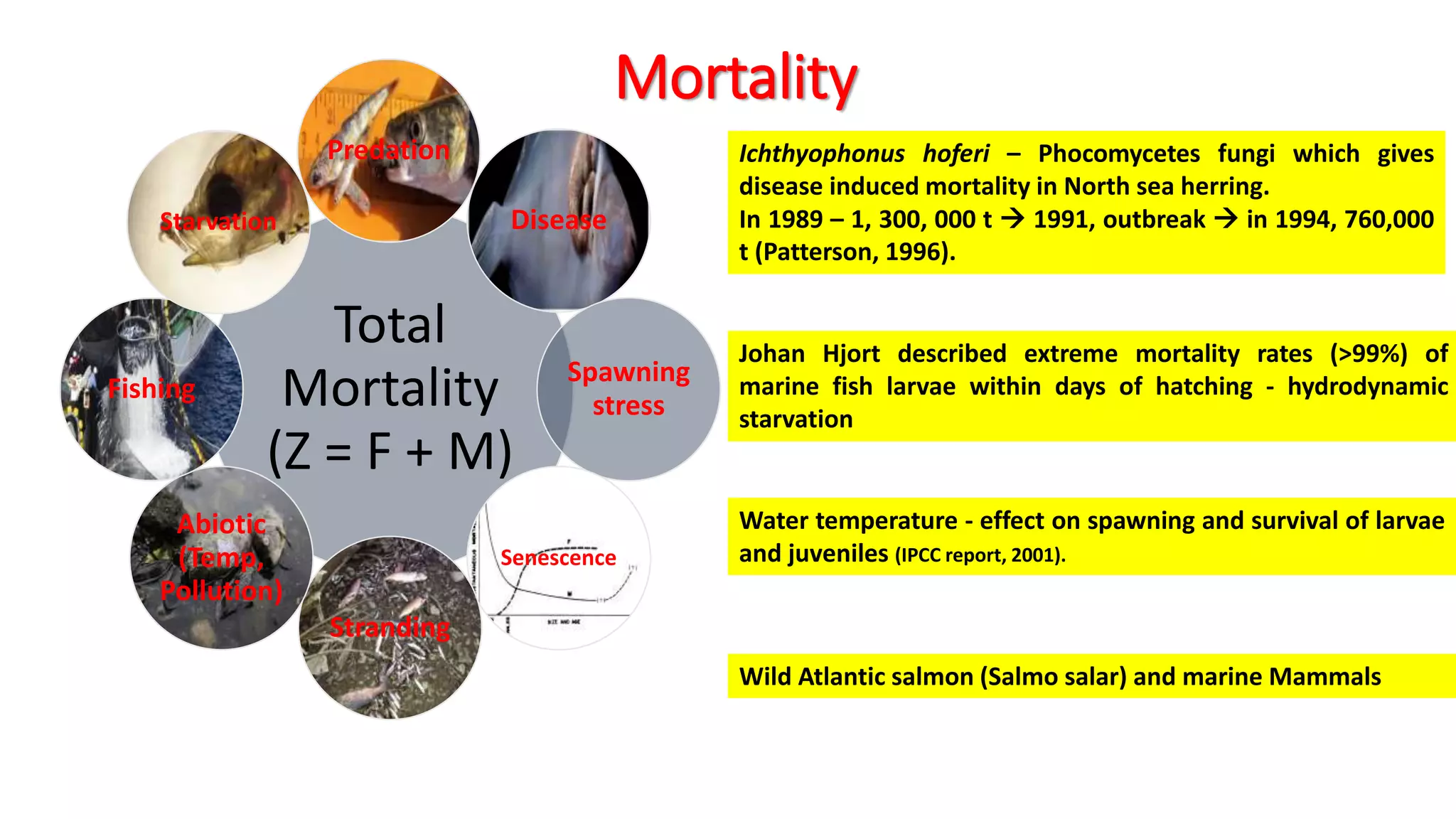 EXPONENTIAL DACAY MODEL & MORTALITY CONCEPT IN FISH STOCK ASSESSMENT | PPTX