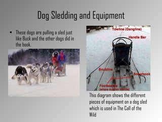 Emily, Charlie, and Cheyenne | PPT