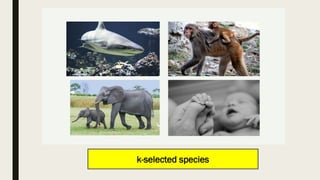 R and K selection in aquatic ecology | PDF