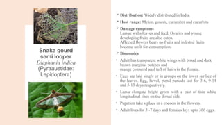 Pests of Amaranthus and Cucurbits: Identification, Impact, and ...
