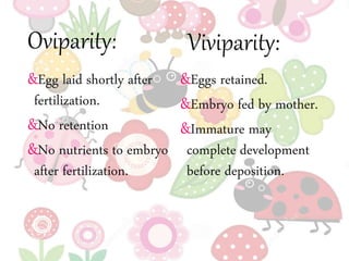 Reproductive System in Insects | PPTX