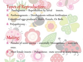 Reproductive System in Insects | PPTX