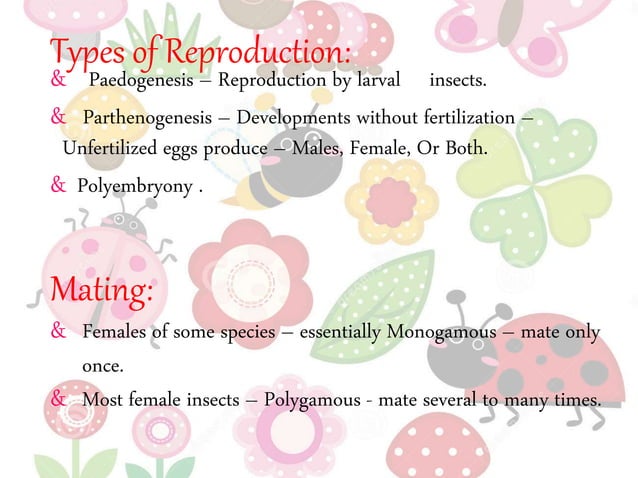 Reproductive System in Insects | PPTX