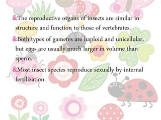 Reproductive System in Insects | PPTX