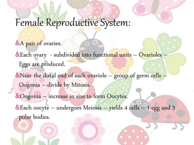 Reproductive System in Insects | PPTX