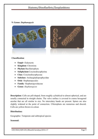 Diatoms - Diaonoflagellets | PDF
