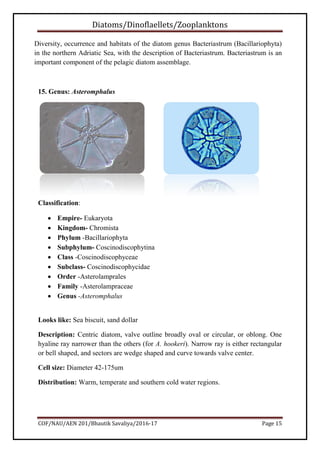 Diatoms - Diaonoflagellets | PDF