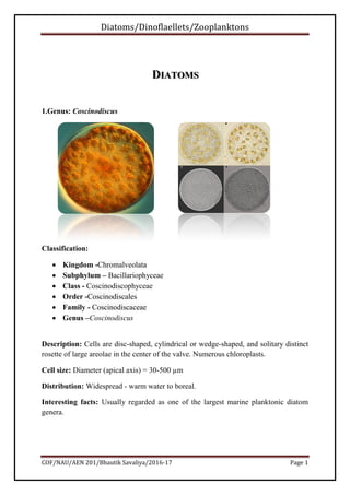 Diatoms - Diaonoflagellets | PDF