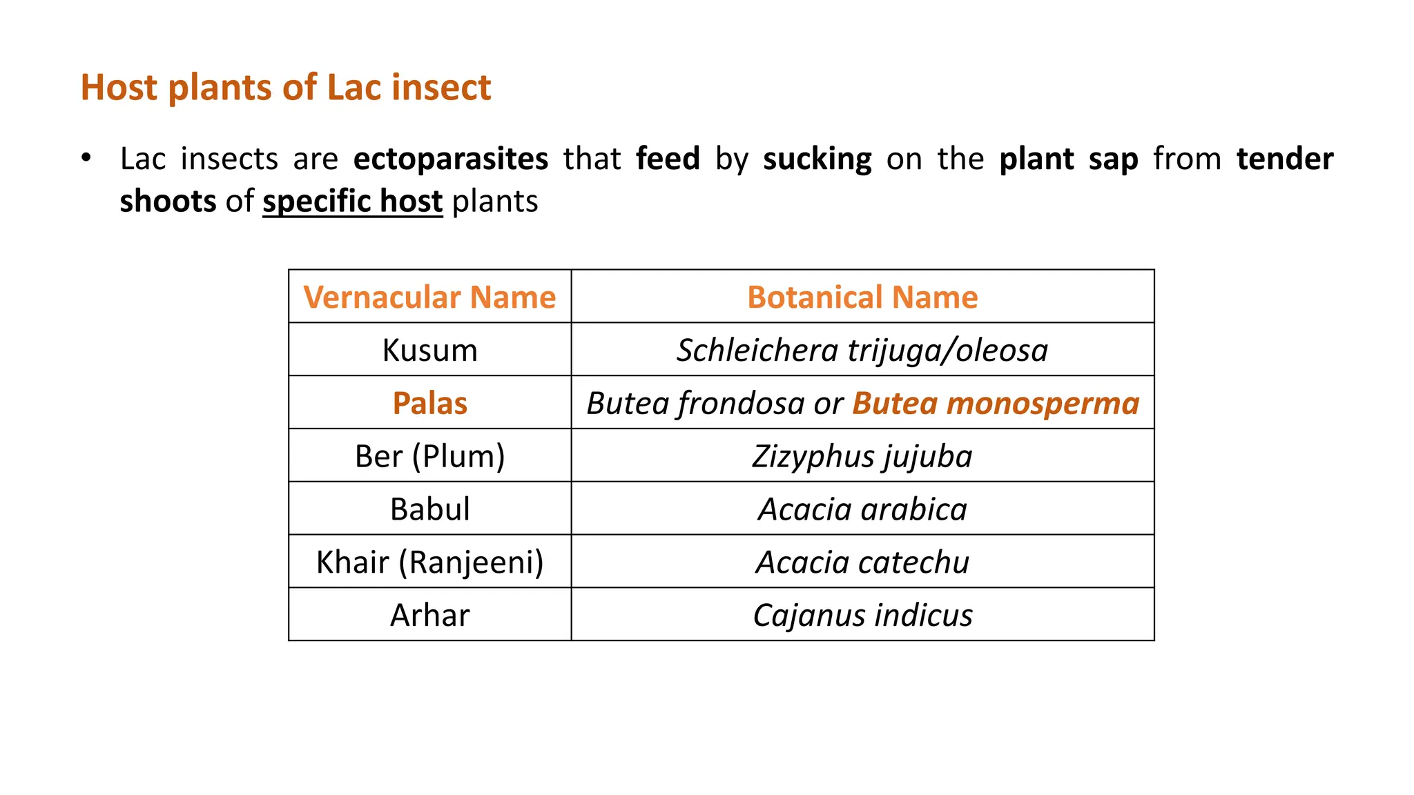 AEN 202 - LAC CULTURE.pptx