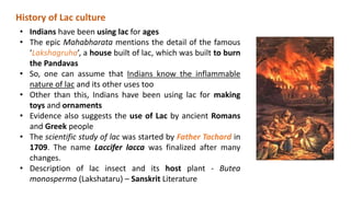 AEN 202 - LAC CULTURE.pptx
