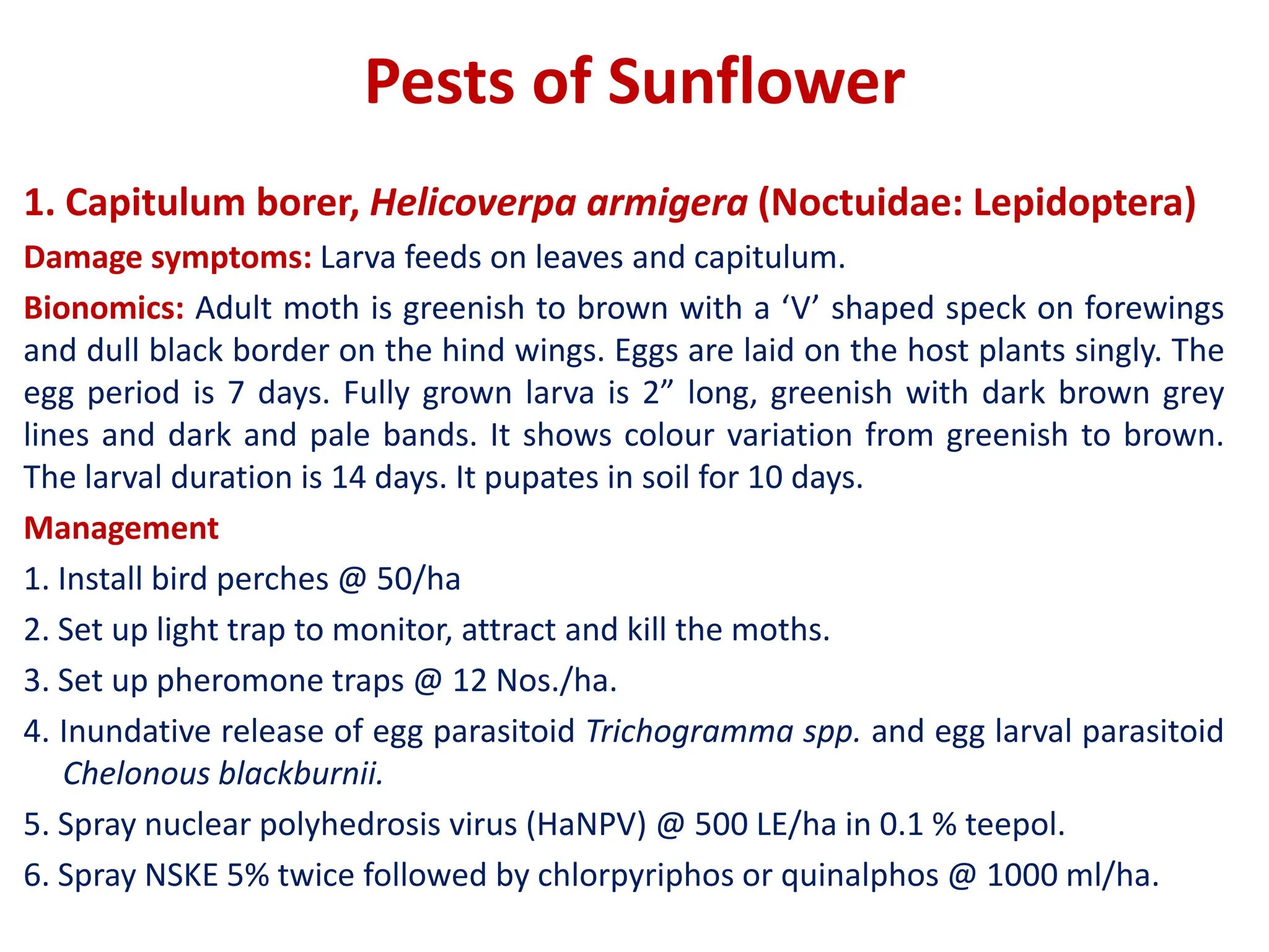 Entomology| pest of oil seeds|biology and management | PDF