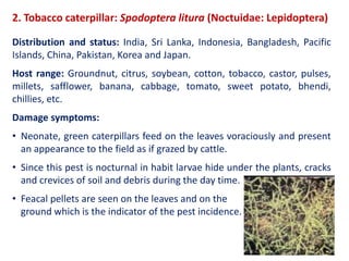 Entomology| pest of oil seeds|biology and management | PDF