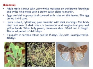 Entomology| pest of oil seeds|biology and management | PDF