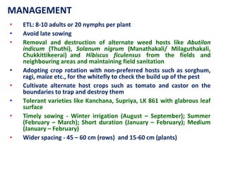AEN Lec. 21. Pests of cotton| entomology.. | PDF