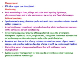 AEN Lec. 21. Pests of cotton| entomology.. | PDF