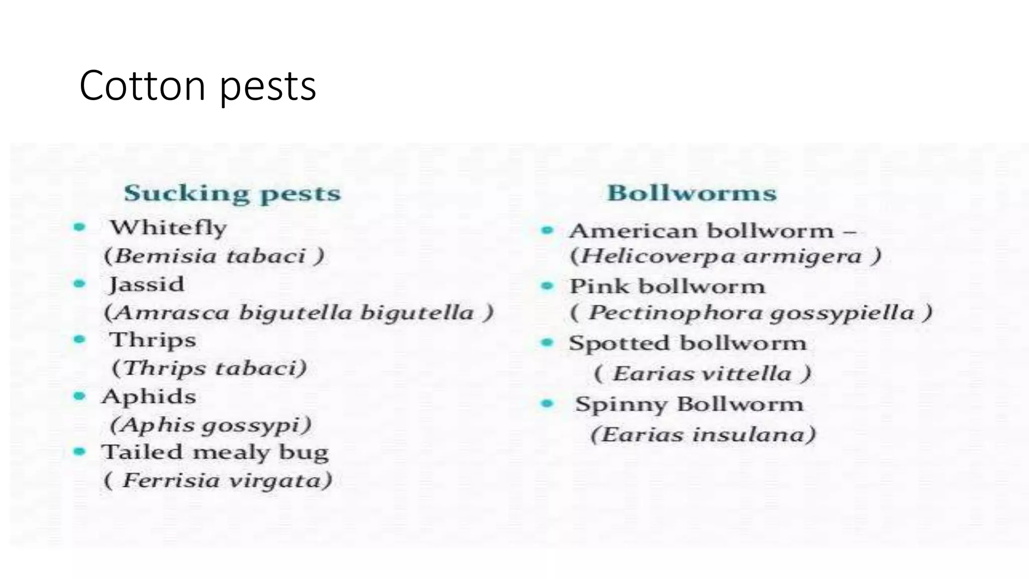 INTEGRATED PEST MANAGEMENT IN COTTON | PPTX | Agriculture | Industries