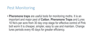 INTEGRATED PEST MANAGEMENT IN COTTON | PPTX | Agriculture | Industries