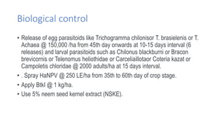 INTEGRATED PEST MANAGEMENT IN COTTON | PPTX | Agriculture | Industries