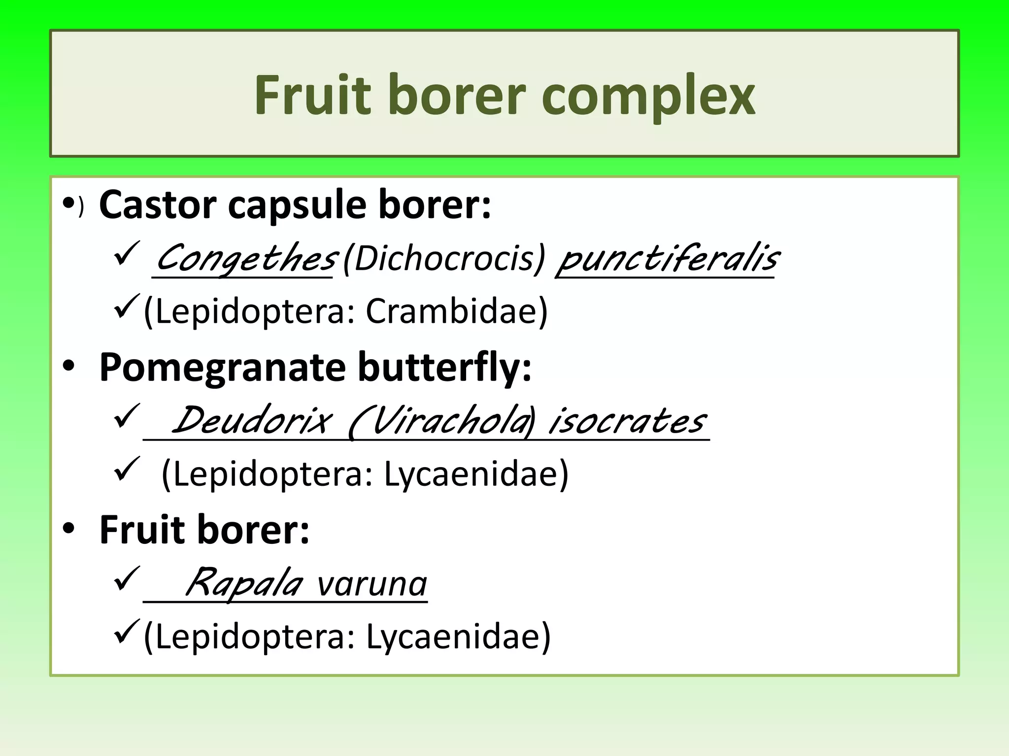 guava fruit borers | PPTX