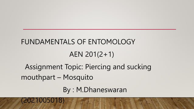 AEN PRESENTATION.pptx