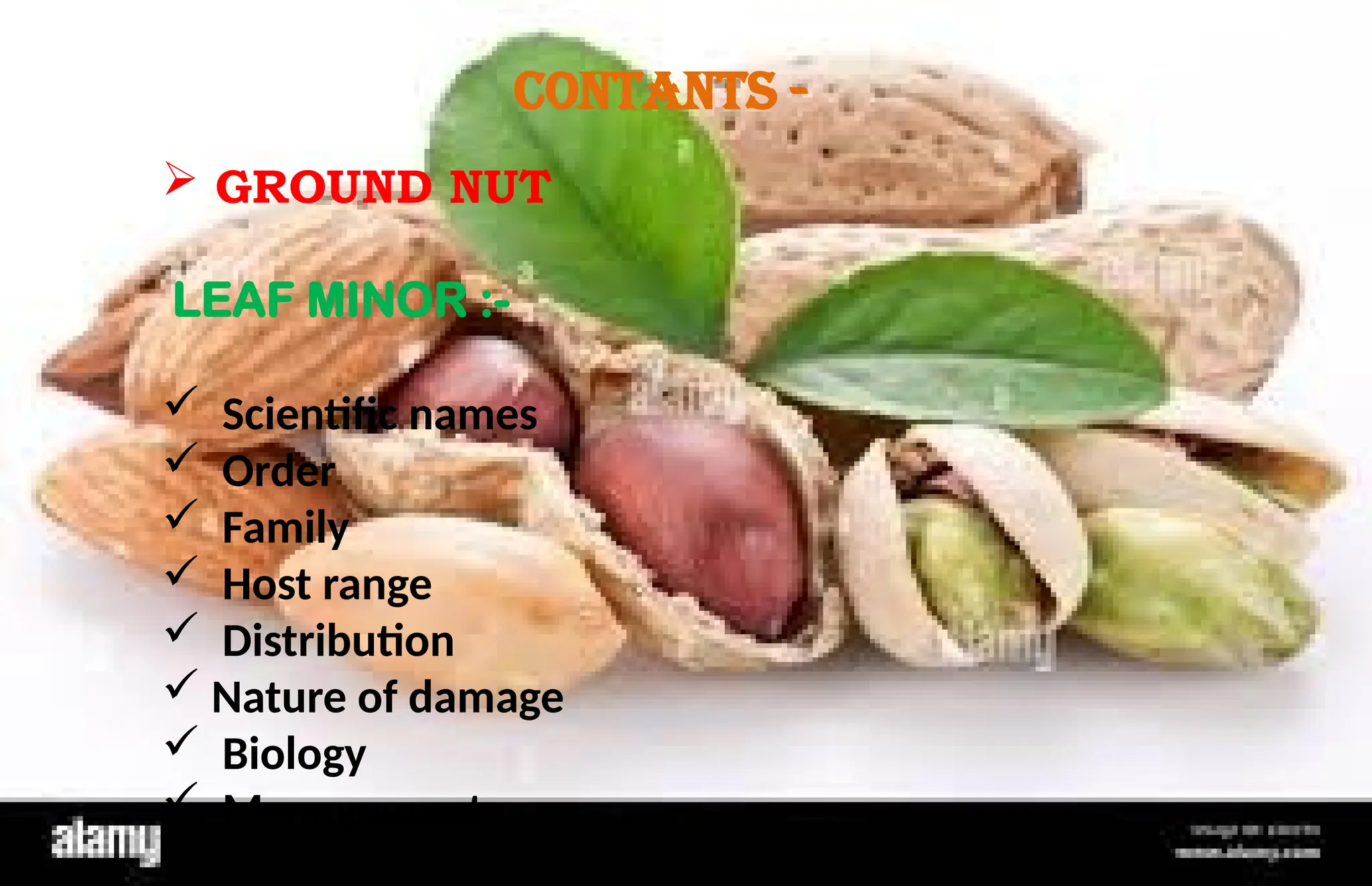 Entomology (teksingh) sort and best material of groundnut pest and ...