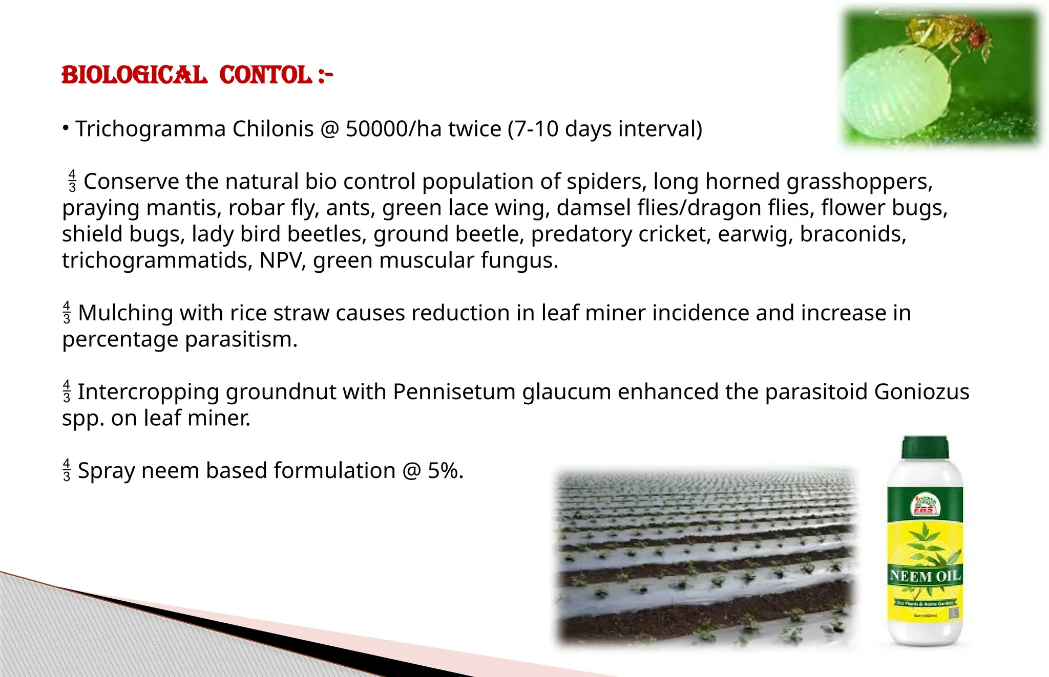 Entomology (teksingh) sort and best material of groundnut pest and ...