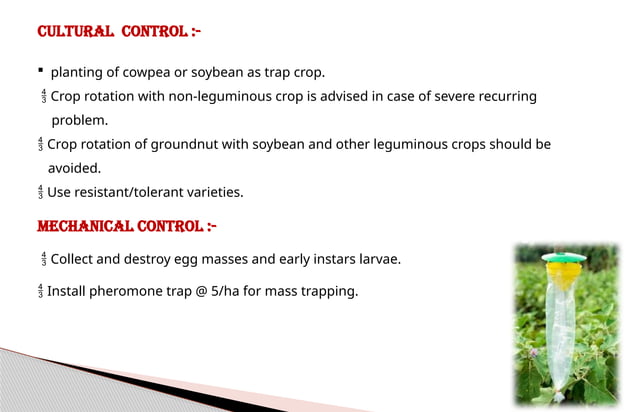 Entomology (teksingh) sort and best material of groundnut pest and ...