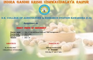 AENT-5312 Teksingh.ppt STUDY OF ENTOMOLOGY GROUNDNUT PEST AND ...