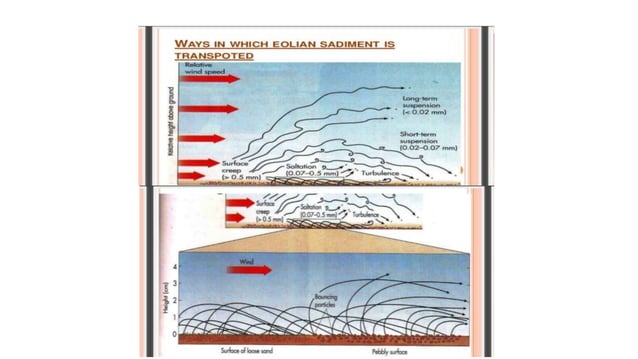 Aeolian landform (geology) | PPTX | Geography | Science