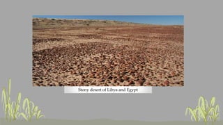 Aeolian landforms (Processes, Erosional & Depositional features) | PPTX