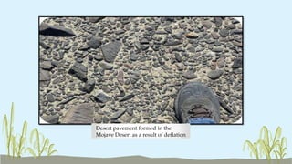 Aeolian landforms (Processes, Erosional & Depositional features) | PPTX