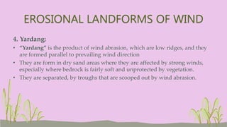 Aeolian landforms (Processes, Erosional & Depositional features) | PPTX