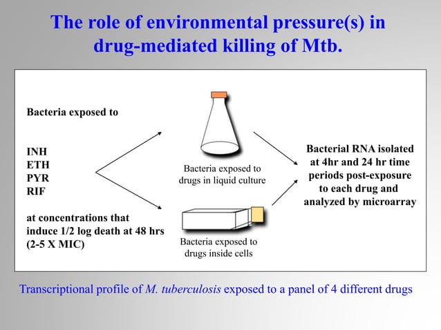 David Russell Thaler Lecture | PPT