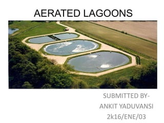 Aerobic Sewage Lagoon