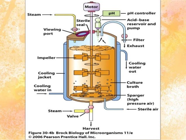 Aeration & agitation in fermentation