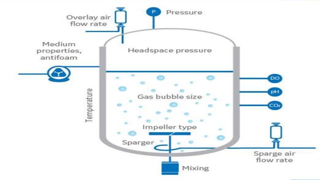 Aeration and agitation | PPTX | Chemistry | Science