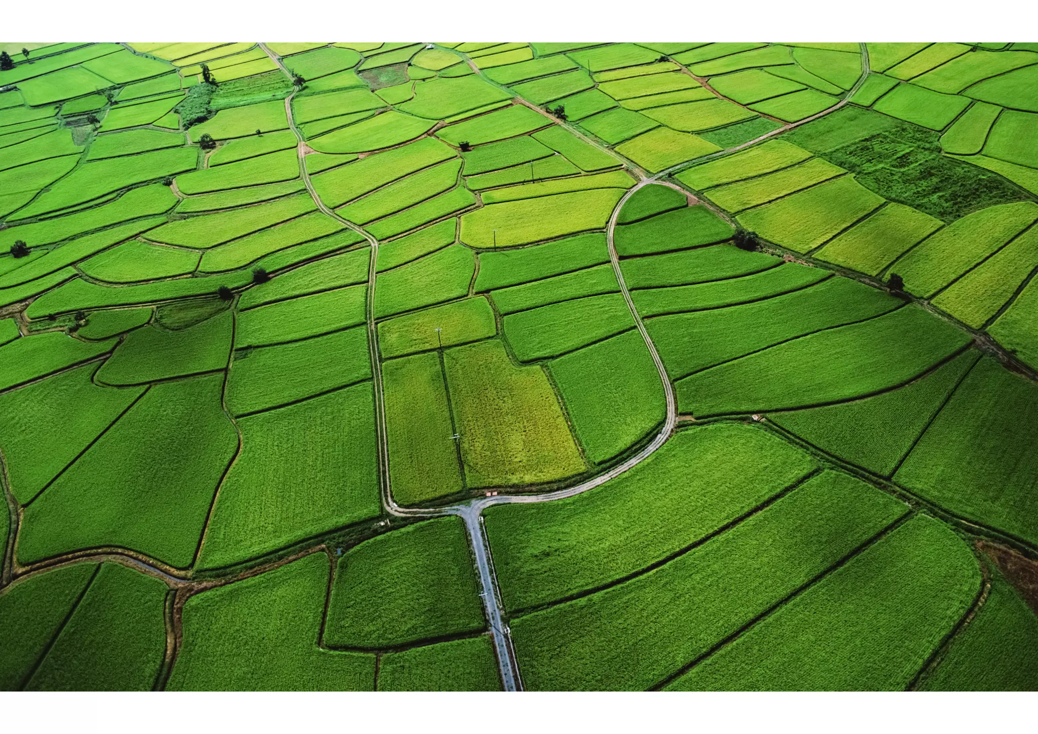 Aerial, Cosmos, National Geographic patterns | PDF