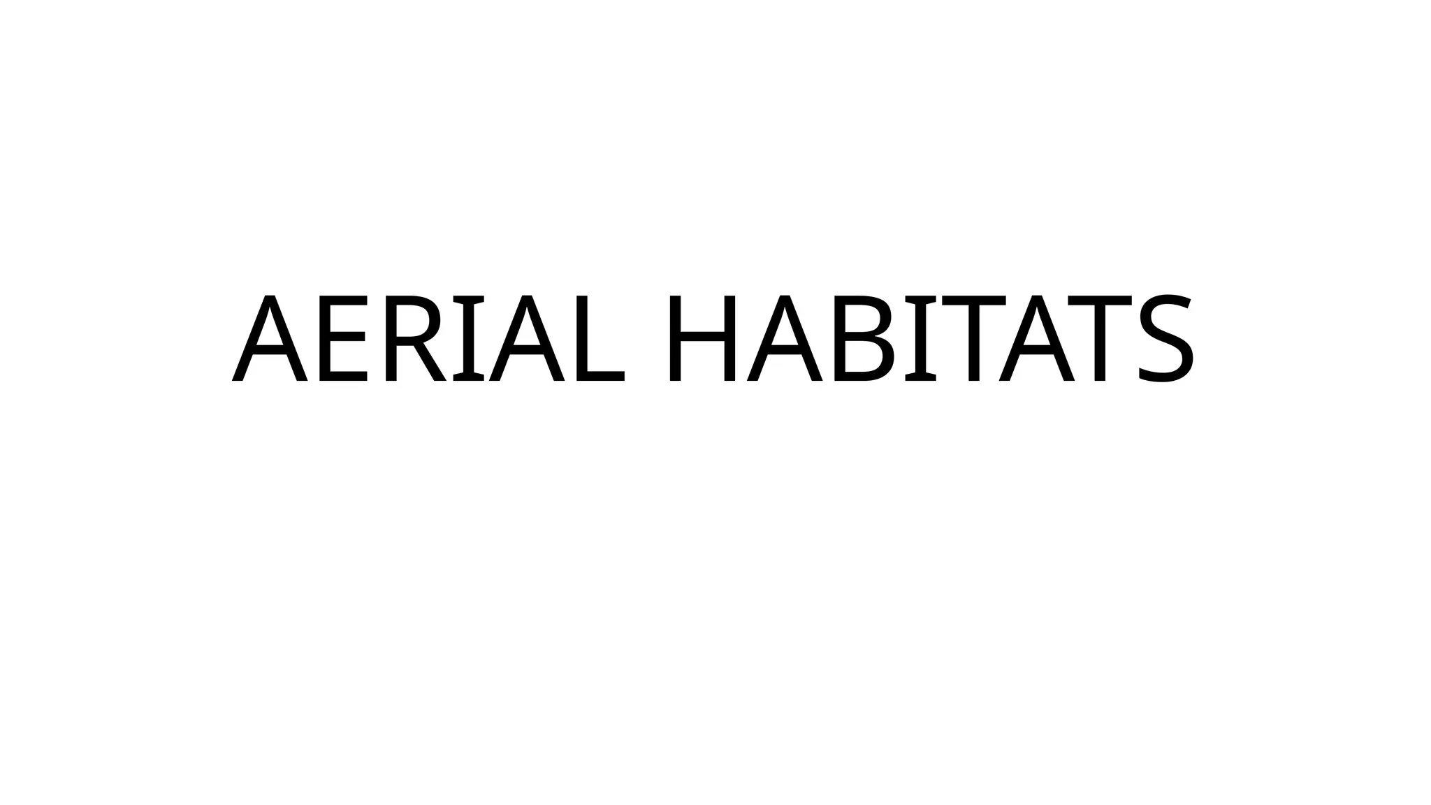 AERIAL HABITATS-space above earth's surface.pptx
