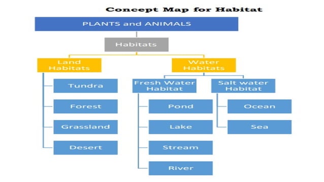 AERIAL HABITATS-space above earth's surface.pptx