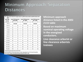 Aerial Lift Safety | PPT