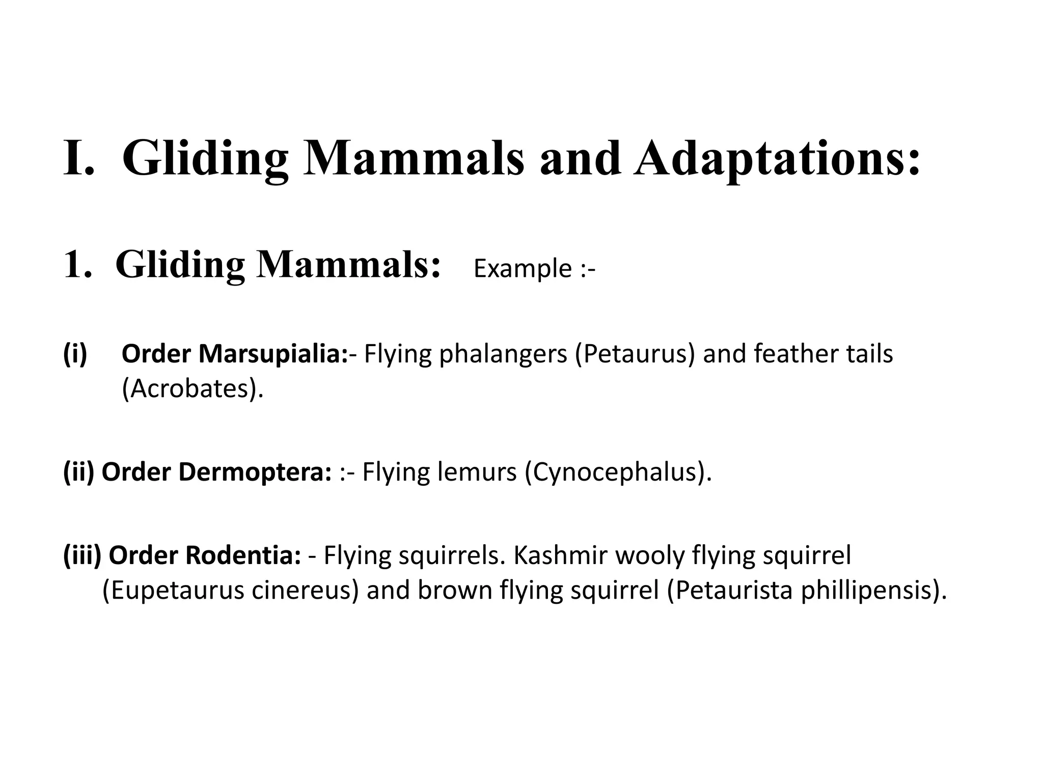 Aerial mammals.pptx