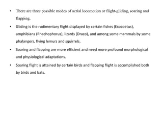 Aerial mammals.pptx