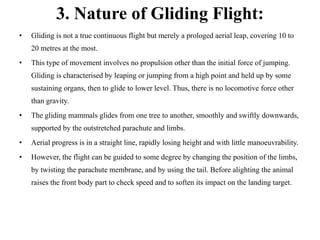 Aerial mammals.pptx