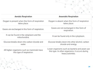 Aerobic-and-Anaerobic-Respiration.pptx