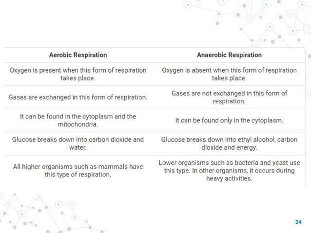 Aerobic-and-Anaerobic-Respiration.pptx | Biological Sciences | Science