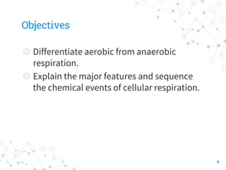 Aerobic-and-Anaerobic-Respiration.pptx